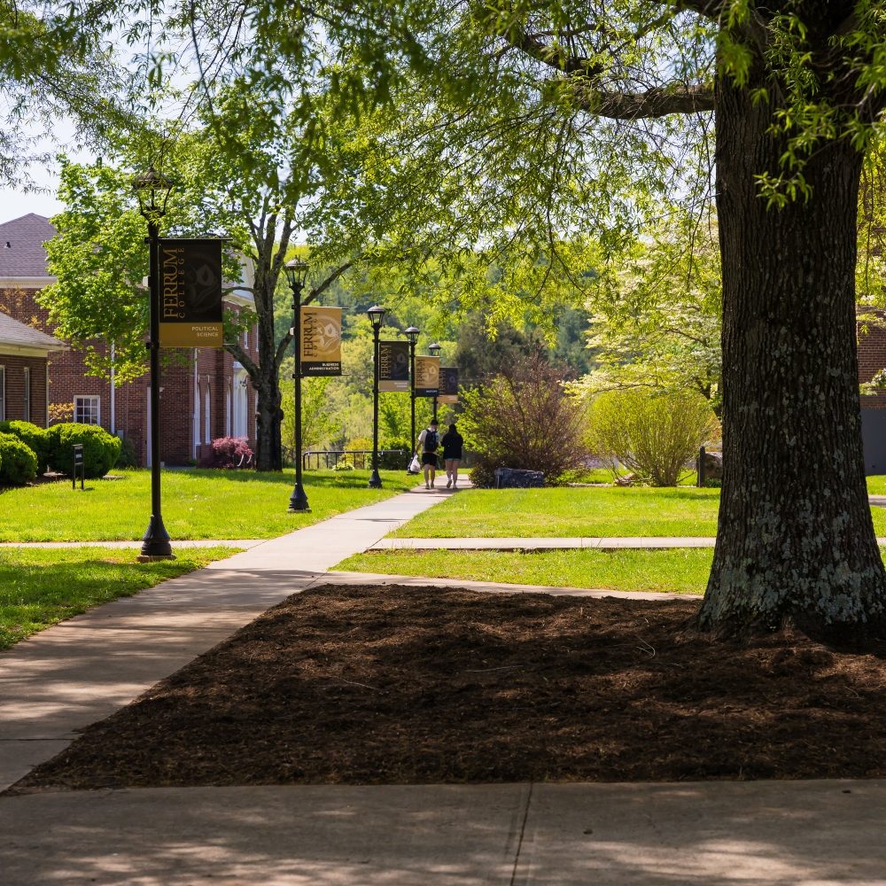 Ferrum College Baseball Fall Prospect Camp on September 2 - Register Today