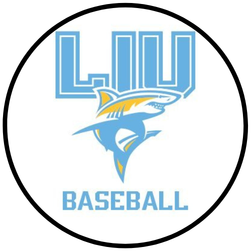 Long Island Baseball Camps - Register Today