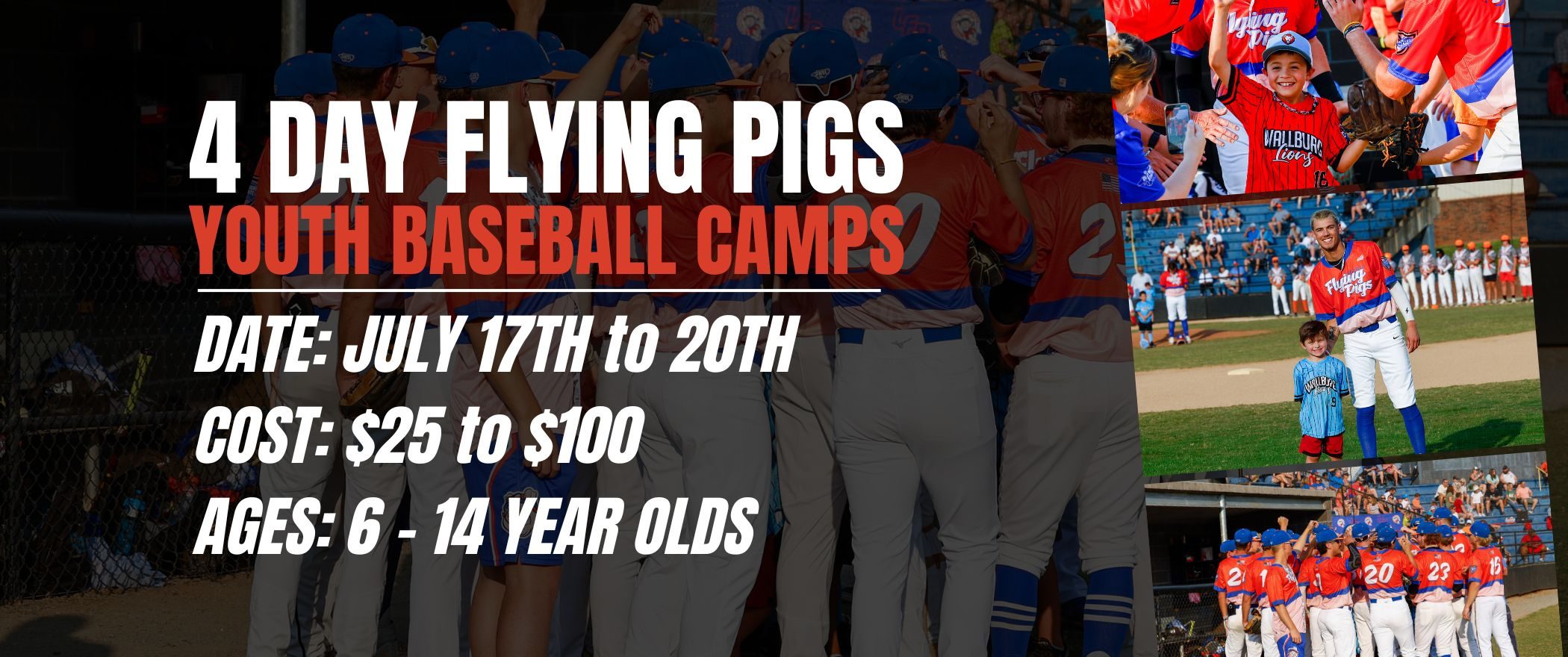 Lexington Flying Pigs Baseball Camp - Register Today