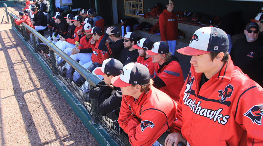 Southeastern CC Baseball - Register Today